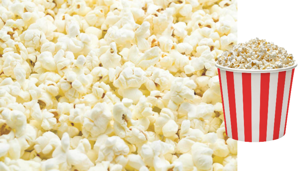 Events – The Pottery Cove